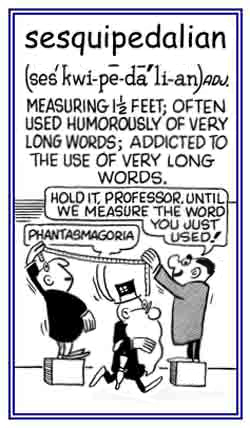 Word Wednesday: Sesquipedalian – Dara Rochlin Book Doctor